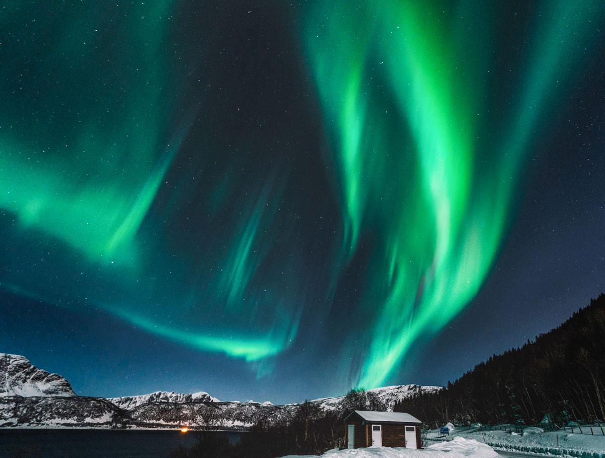 Explore the extraordinary Arctic